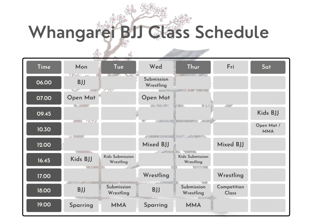 Whangarei BJJ – New Zealand Ju-Jitsu Federation